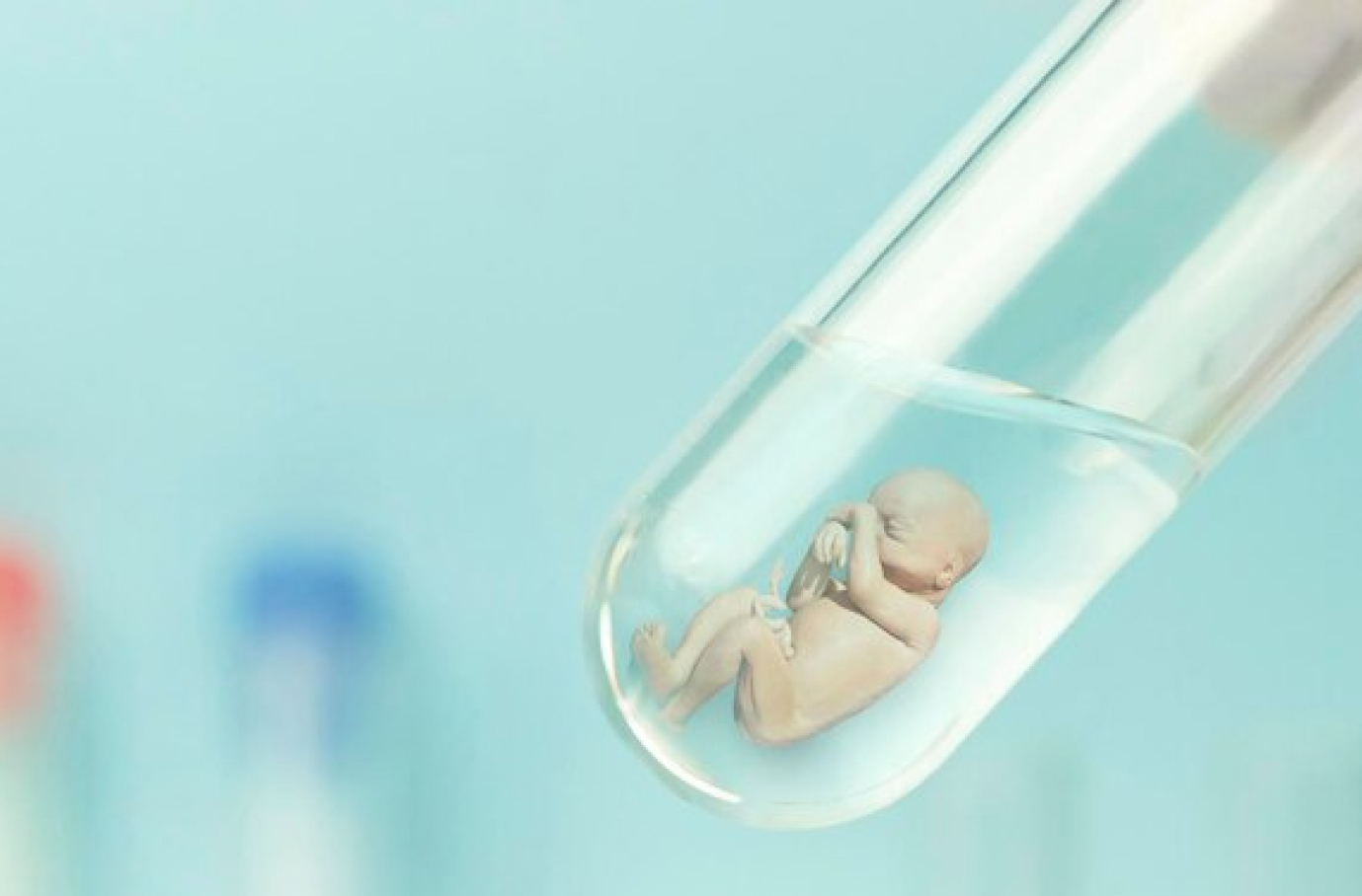 Fertility Options for Single Women | Indian Egg Donors